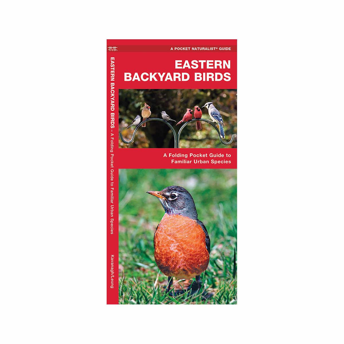 Eastern Backyard Birds Folding Pocket Guide