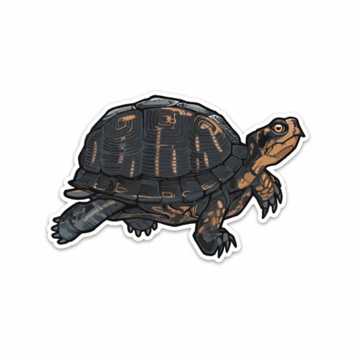 Eastern Box Turtle Sticker