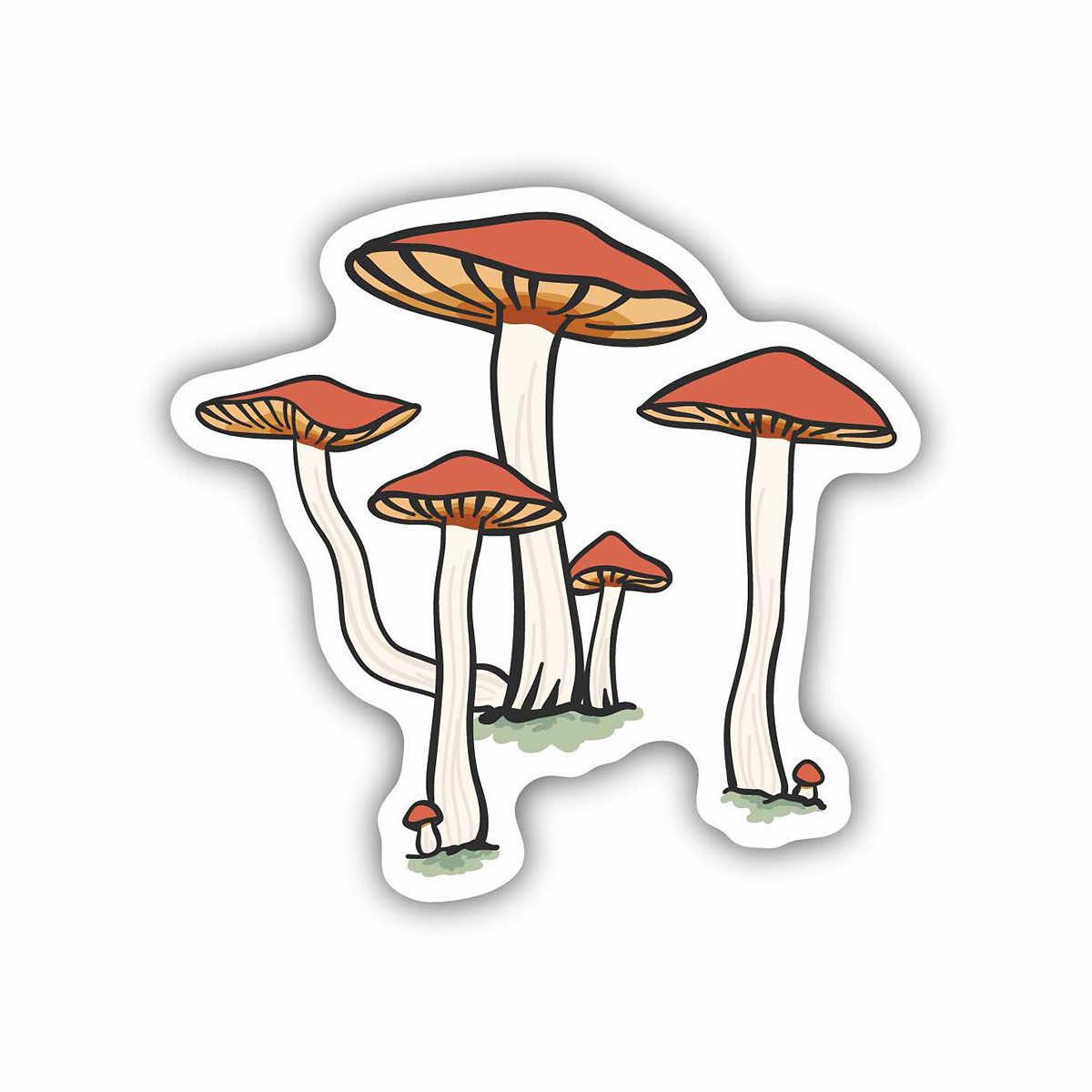 Mast General Store | Red Cap Mushroom Sticker