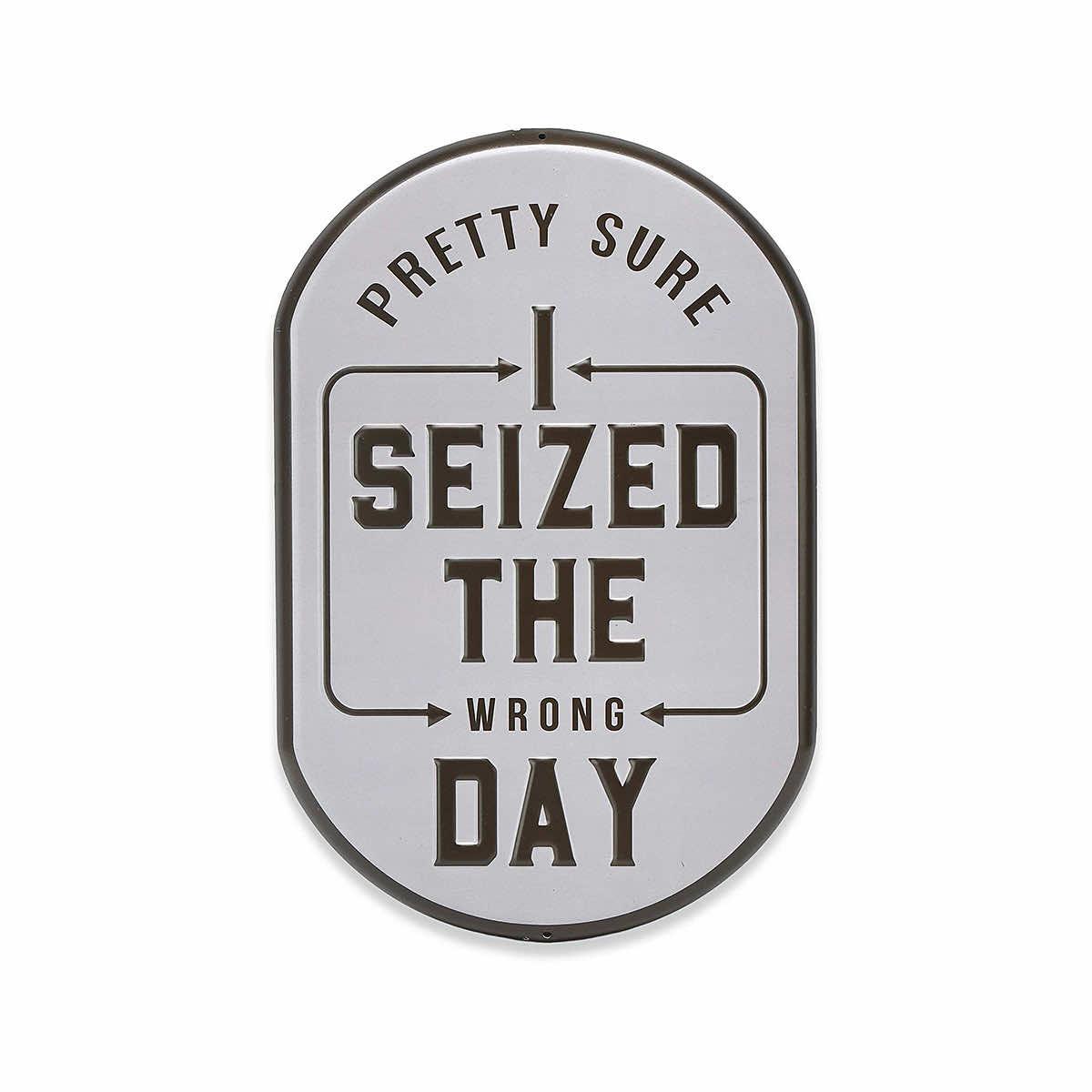 Pretty Sure I Seized the Wrong Day Metal Sign